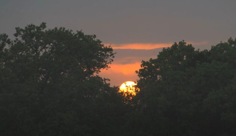 16 Most Famous Texans of All Time - From Cowboys to Celebrities - HTexas