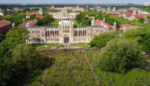 Best 8 Cherry Trees To Grow in Texas - HTexas